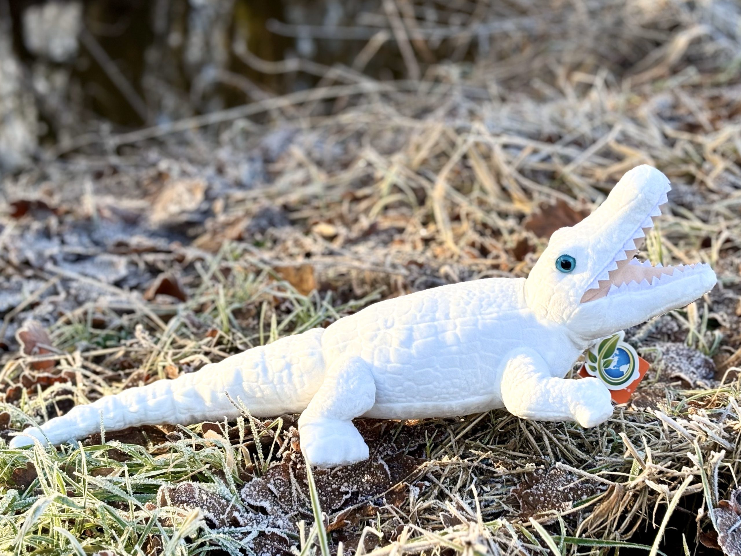 Wild Republic Cuddlekins Hvid Alligator - World of Jungle Shop